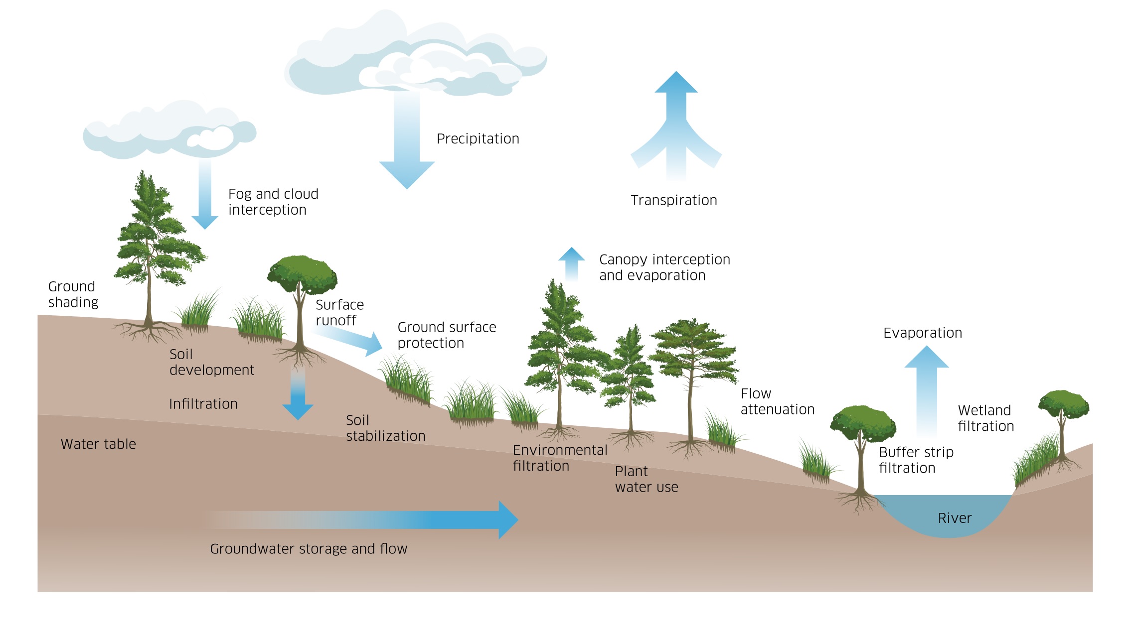 Supporting water flow regulation accounting through hydrological ...