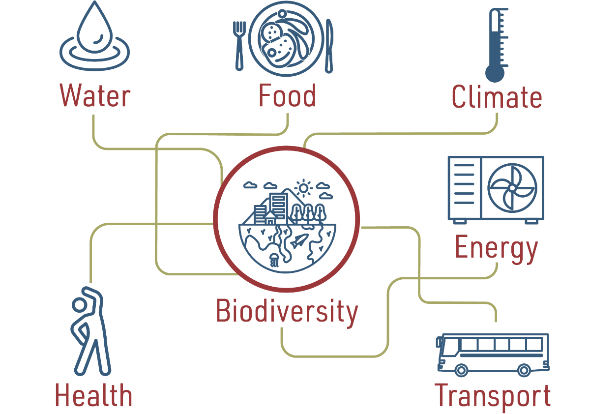 BIONEXT: Providing integrated solutions to the biodiversity crisis ...