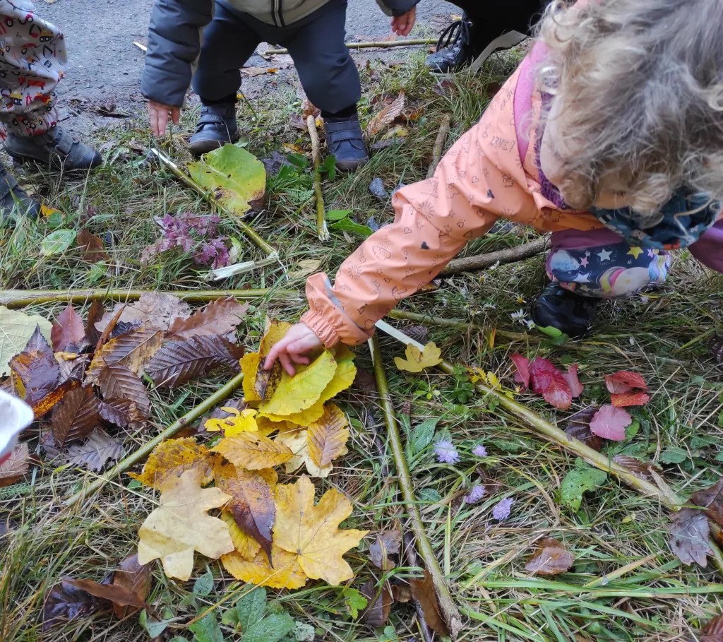 Human-nature connection in early childhood – personal reflections from ...